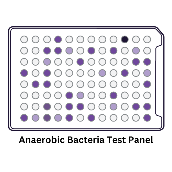 Anaerobic Bacteria Identification Test Panel – instrumedshop