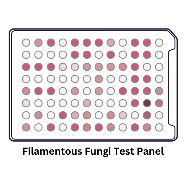 Filamentous Fungi Identification Test Panel – instrumedshop